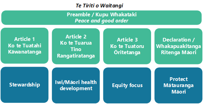 ACEM - Constitution Vote 2020